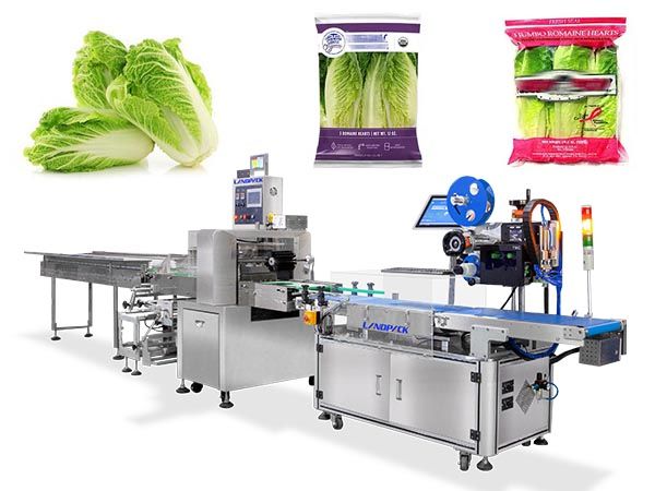 China Leading vegetable packaging machine | vegetable packing machine ...